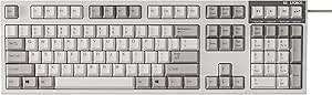 REALFORCE R2 PFU Limited Edition (Full/Ivoire/45g) : Amazon.fr ...