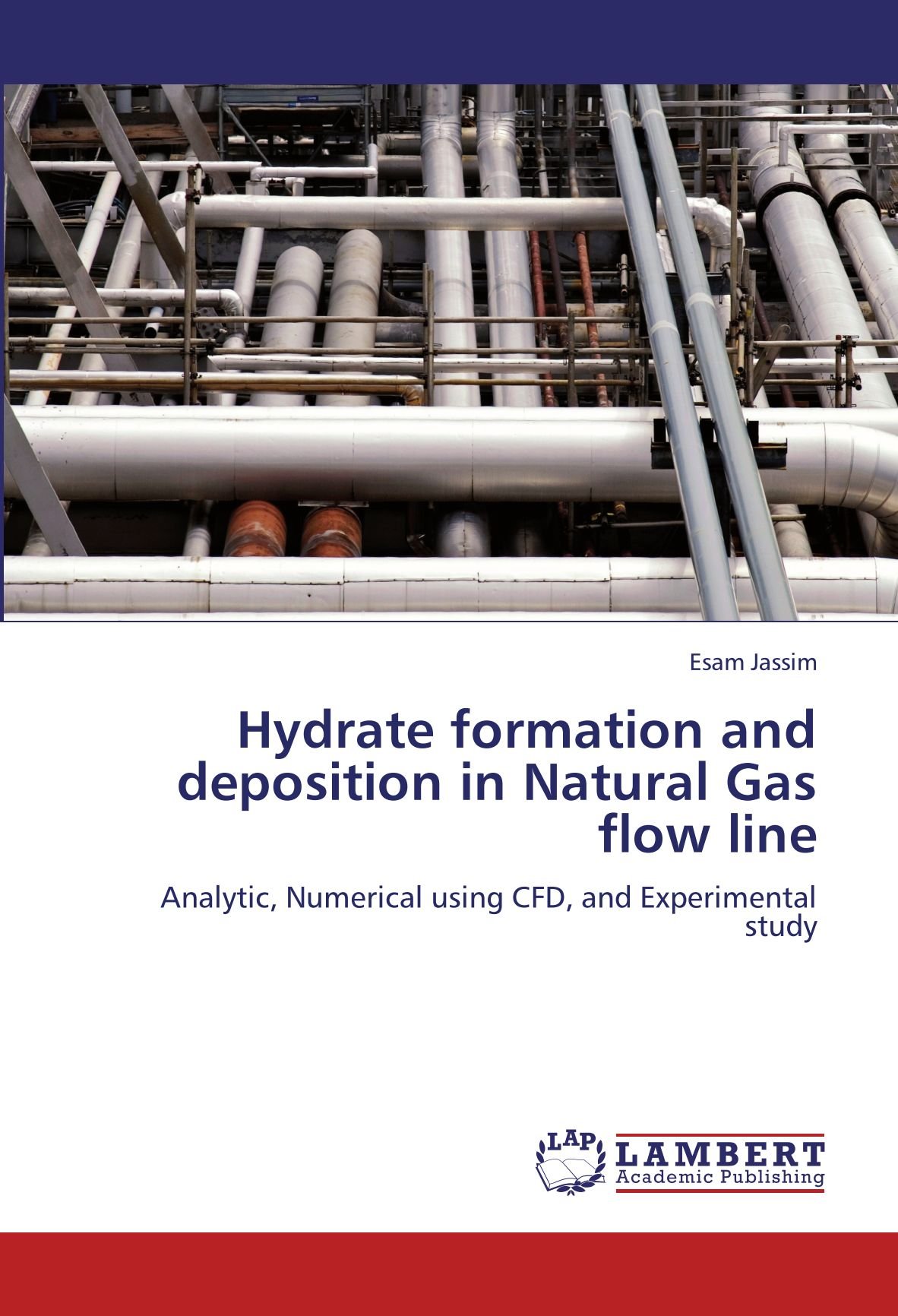 Buy Hydrate formation and deposition in Natural flow line: Analytic ...