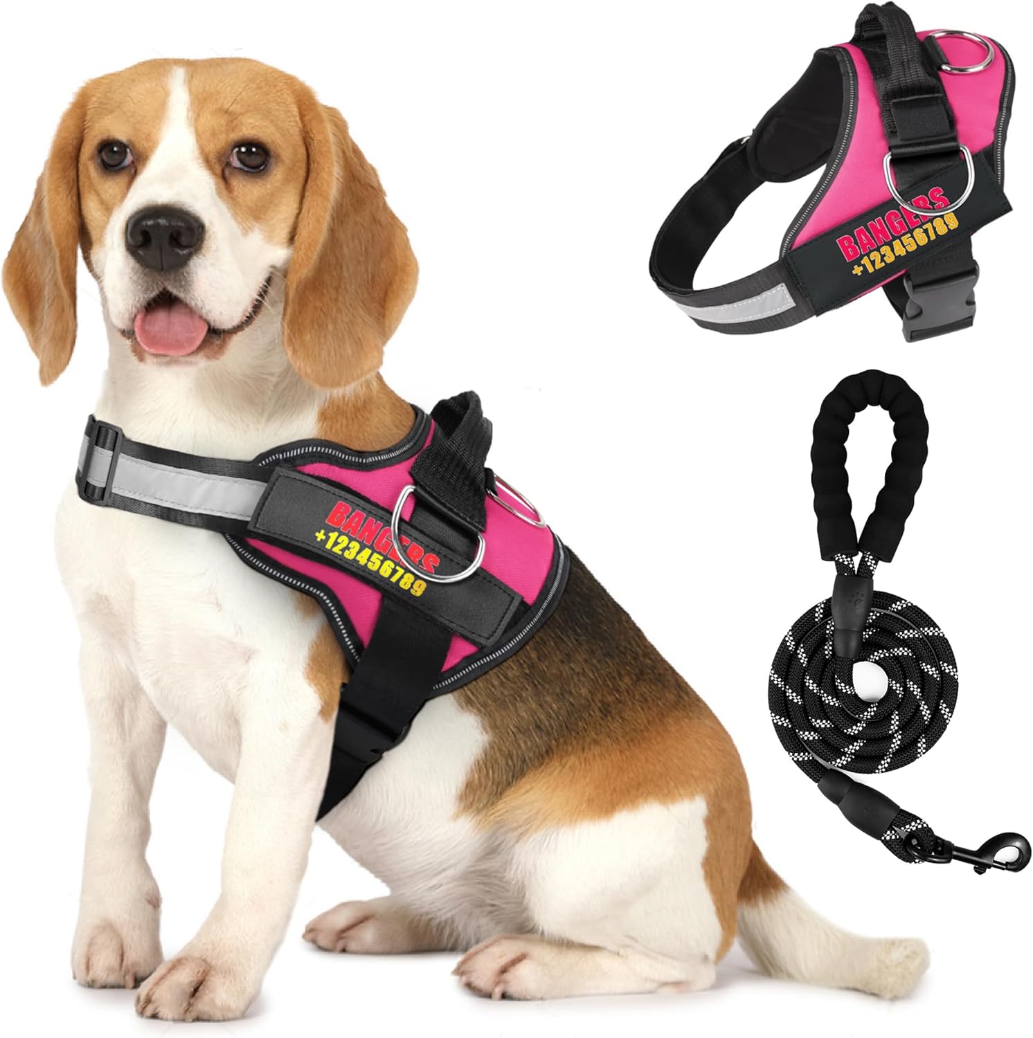 Amazon.com : Slok Personalized Dog Harness for Small Dogs - Custom No-Pull Puppy Harness with ...