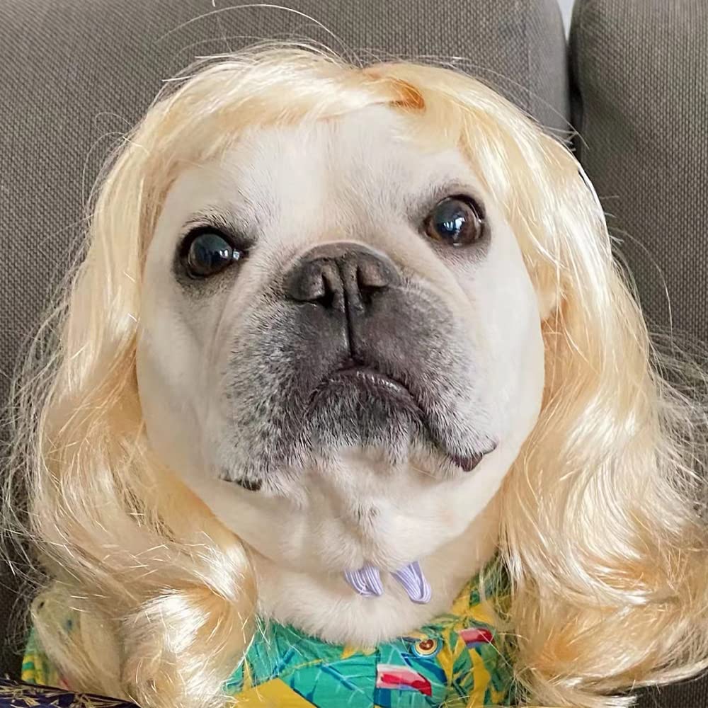 Dogs With Wigs