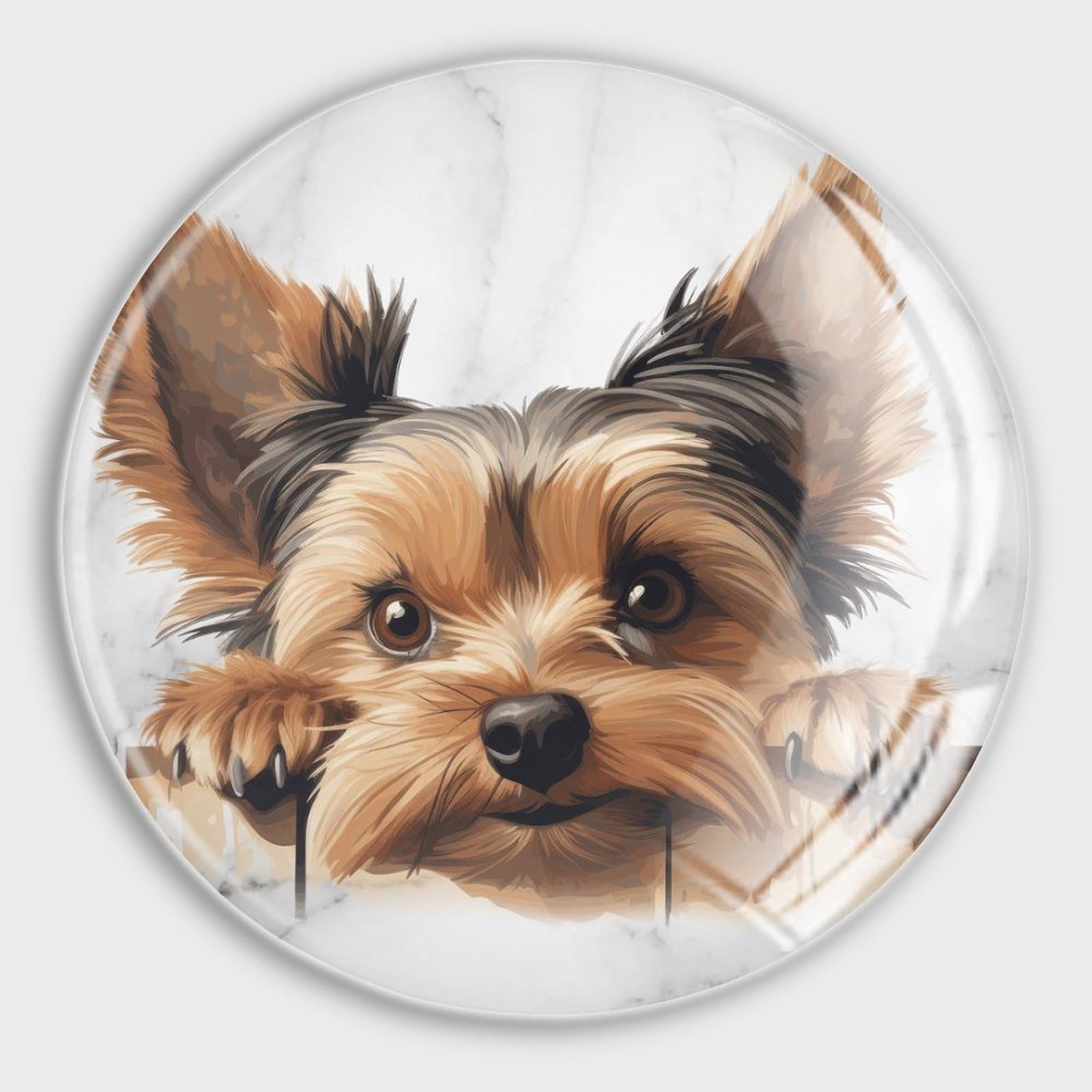 Amazon.com: Yorkshire Terrier Dog Lying on The Floor Peeking ...
