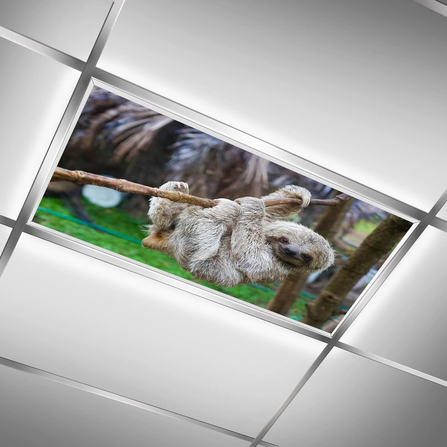 Amazon.com: Lights Fluorescent Light Covers for Classroom Office Cute ...