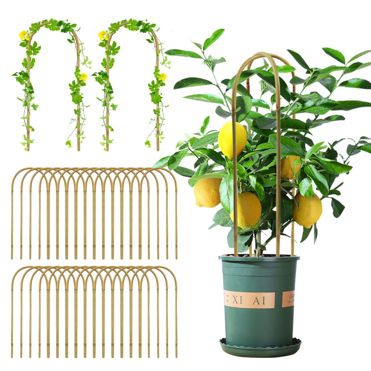 Amazon.com : HFYZZ 30 PCS Natural U Hoops Bamboo Plants Trellis-16 Inch ...