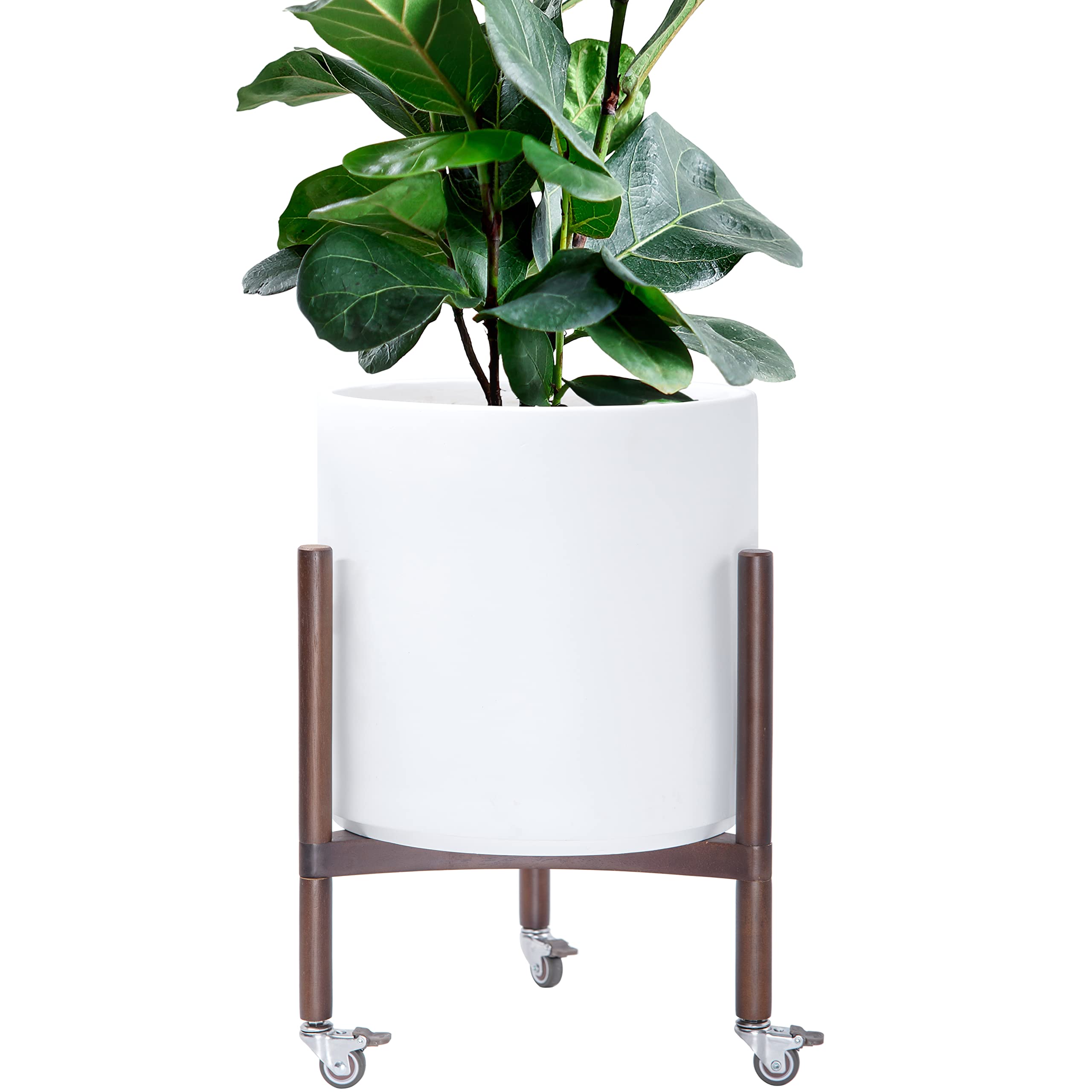 Amazon.com : Phoenix Vine 12 Inch White Indoor Modern Planter with ...