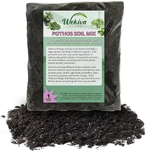 Amazon.com : Pothos Growing Soil Mix – 4 Quarts - Custom Soil Blend ...