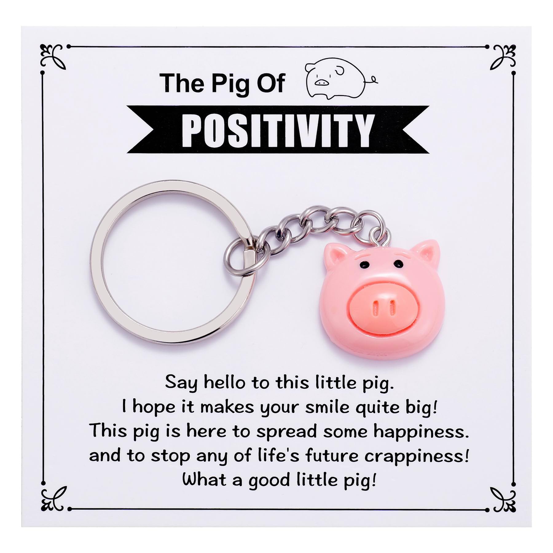 Aesnefe Pig Keyring, Mental Health Positivity Gift, Gifts for Pig ...