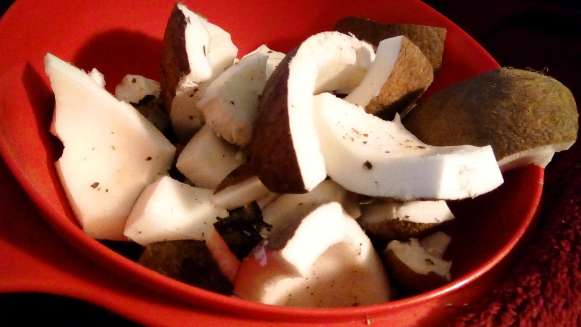 Amazon.com: Fresh Coconuts (Set Of 3) : Grocery & Gourmet Food