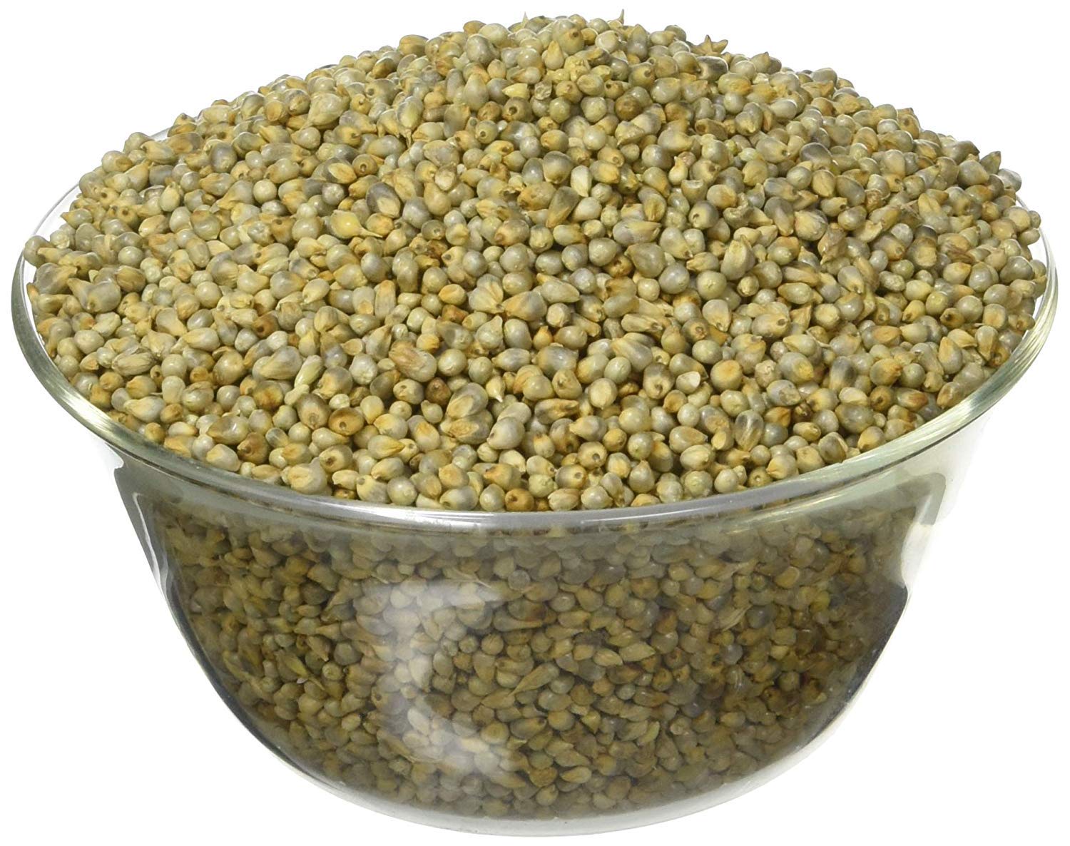 Bajra Seeds