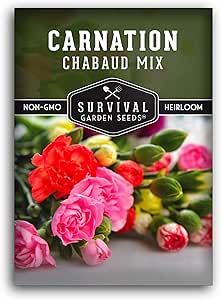 Amazon.com : Chabaud Mix Carnation Seed for Planting - 1 Seed Packet ...
