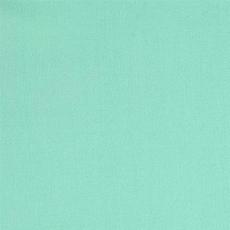 Amazon.com: 60" Poly Cotton Broadcloth Mint, Fabric by the Yard : Arts ...