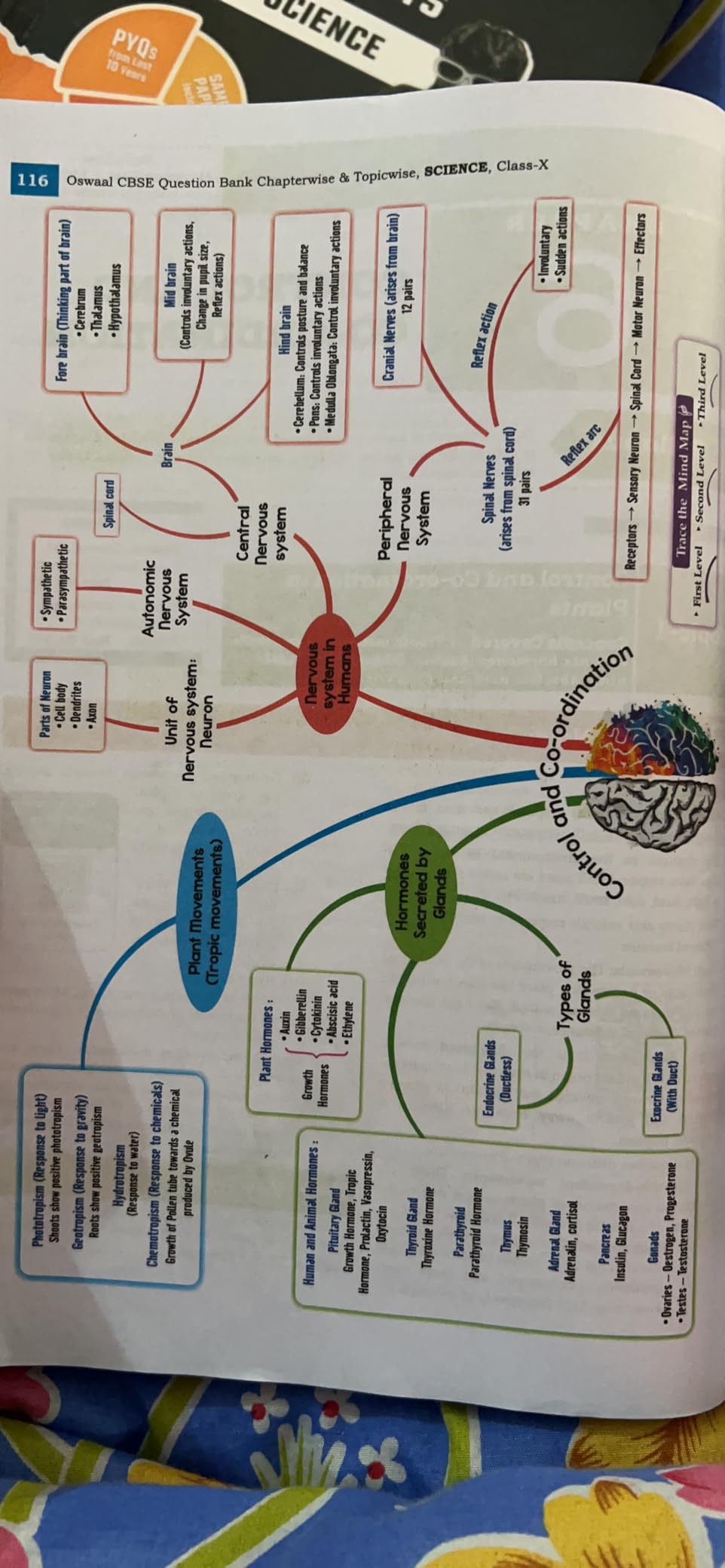 Oswaal CBSE Class 10 Science Question Bank (For 2024 Board Exams ...