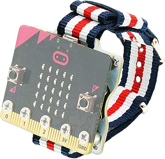 Amazon.com: microbit