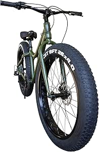 Amazon.co.jp: Eizer Beach Cruiser, Fat Bike, Powerful Thick Tires, W Disc Brake, Lightweight ...