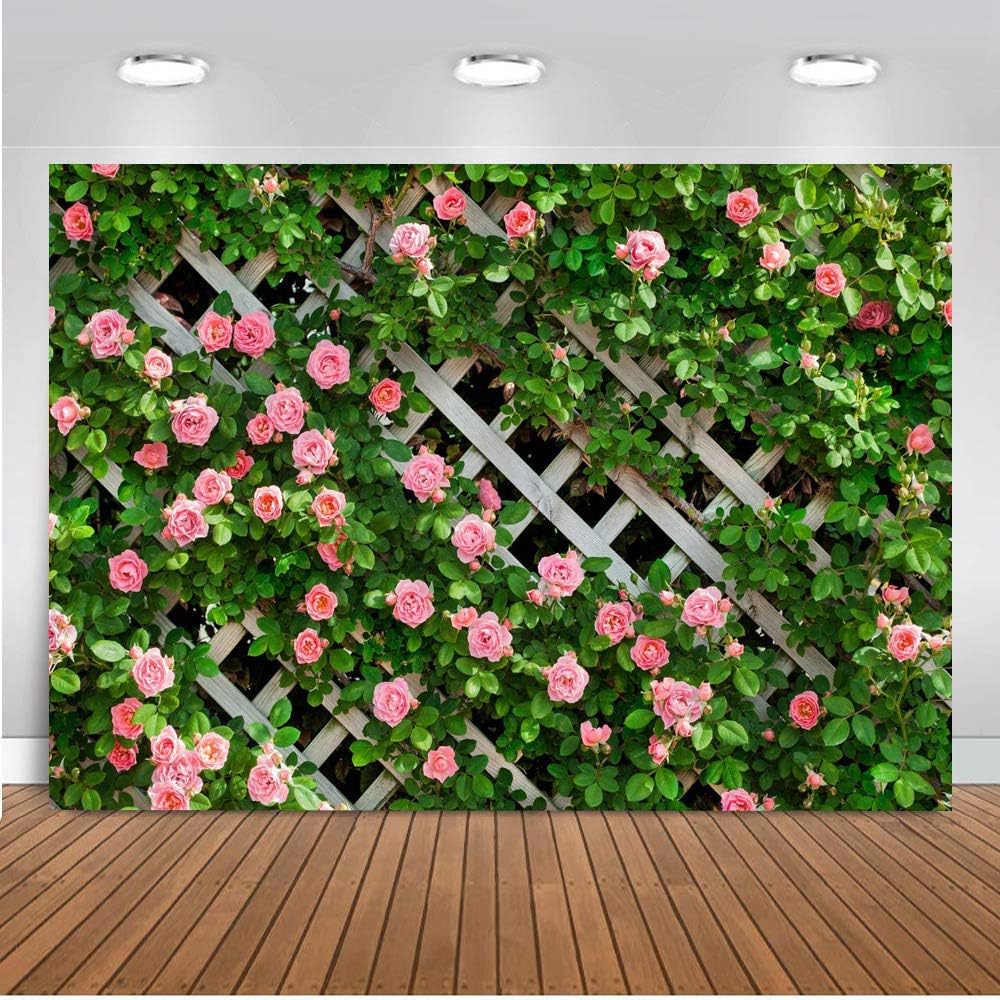 Amazon.com : AIIKES 7x5FT Flowers Backdrop for Photography Spring ...