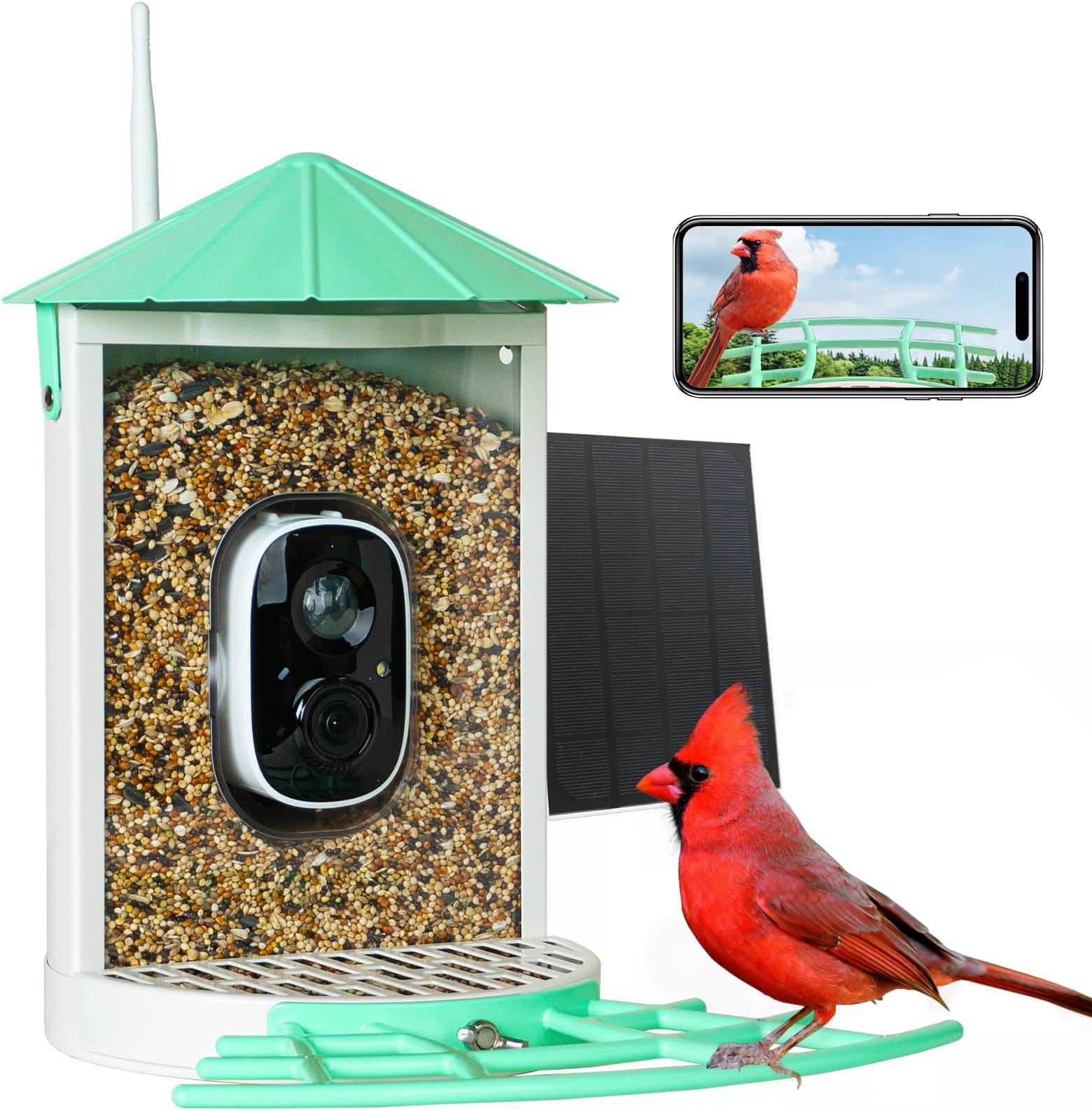 Amazon.com : Birdkiss Smart Bird Feeder with Camera Solar, Auto Capture ...