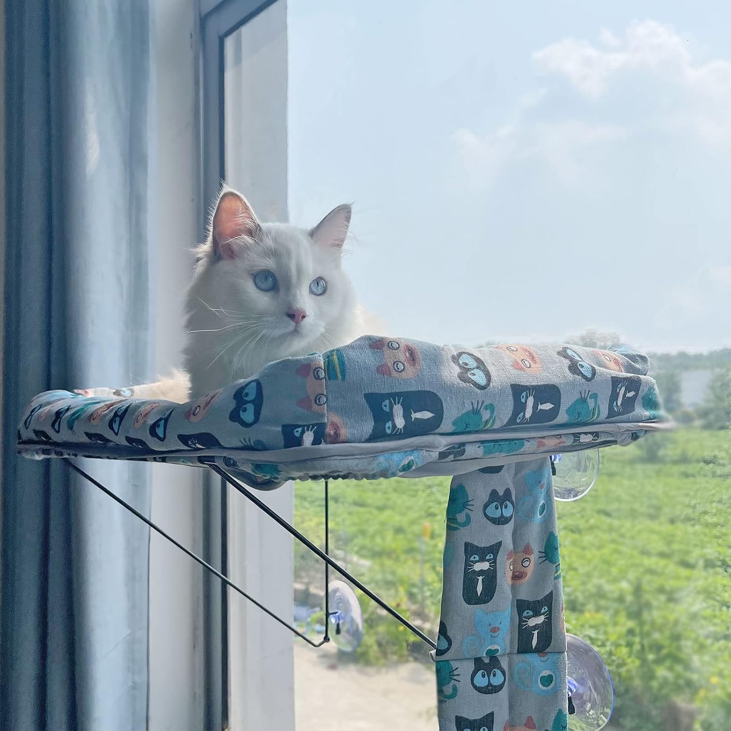 Amazon.com : Babyezz Cat Hammock Window Perch,Cat Bed Window,Seat for ...