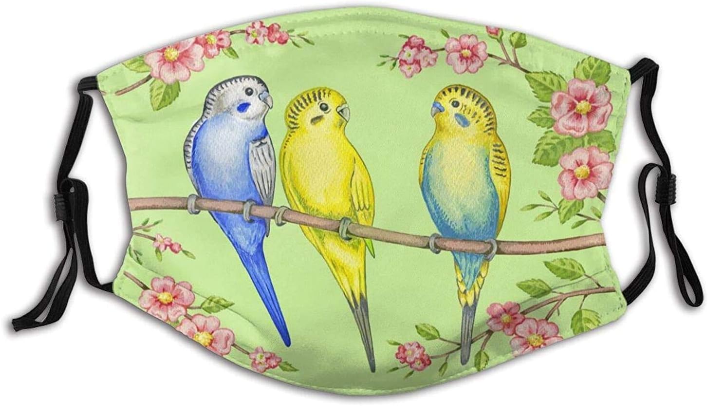 Amazon.com: Animal Budgie Parakeets Parrots Bird Face Mask for Adults ...