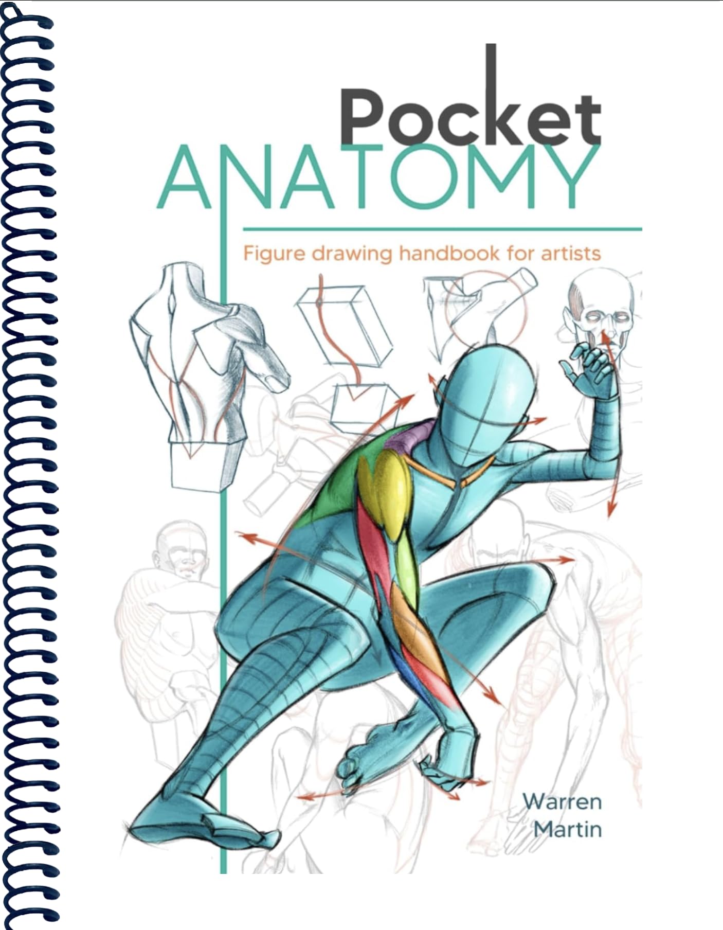 Pocket Anatomy: Figure Drawing Handbook in Color for Artists, Learning ...