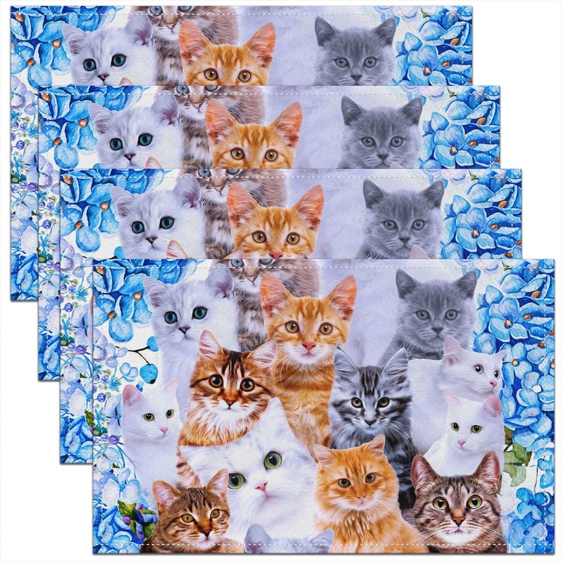 Amazon.com: jejeloiu Cat Placemats Set of 4, Table Place Mats,Cats ...
