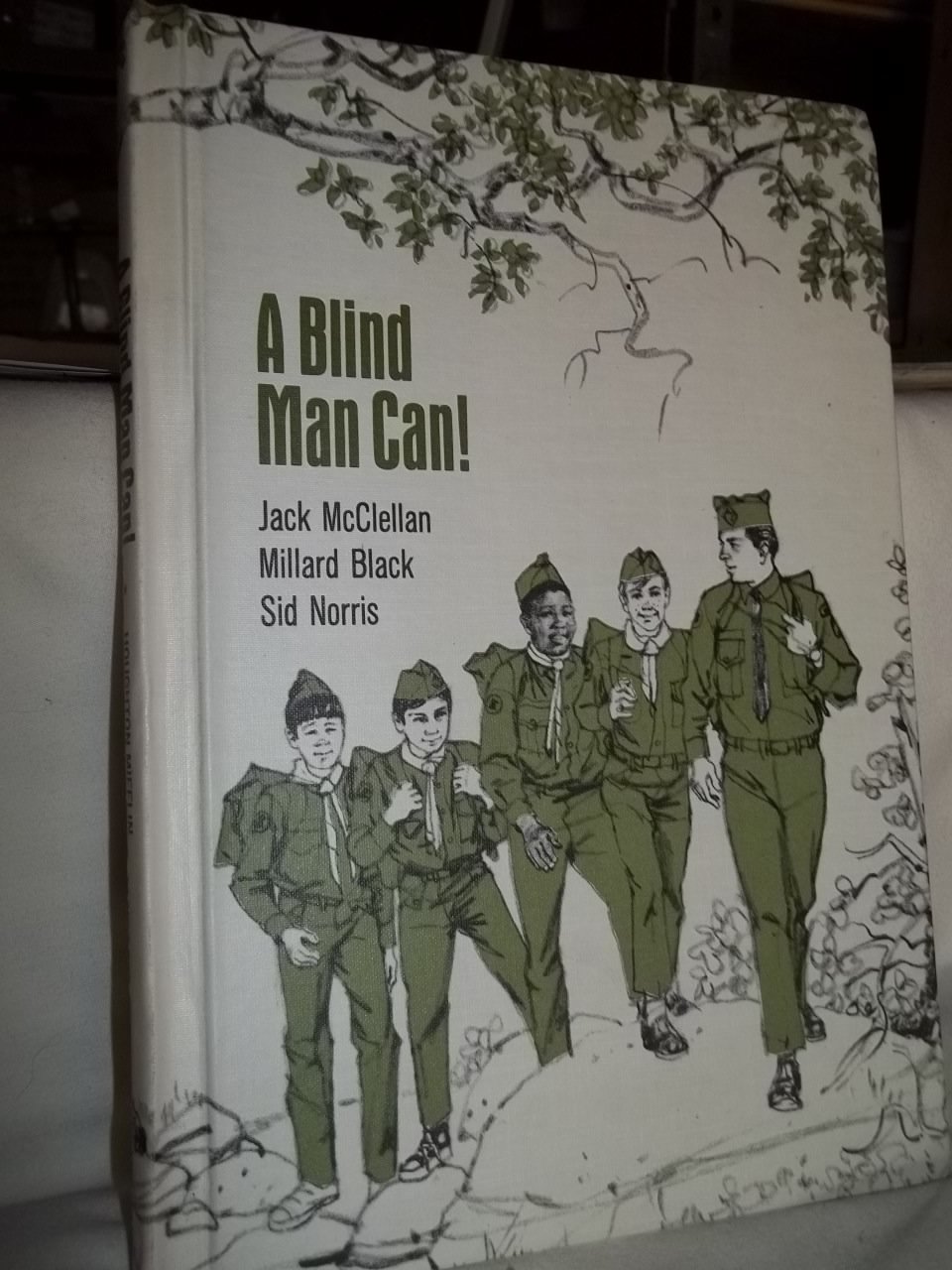 A blind man can! (Citizens all series): McClellan, Jack: Amazon.com: Books