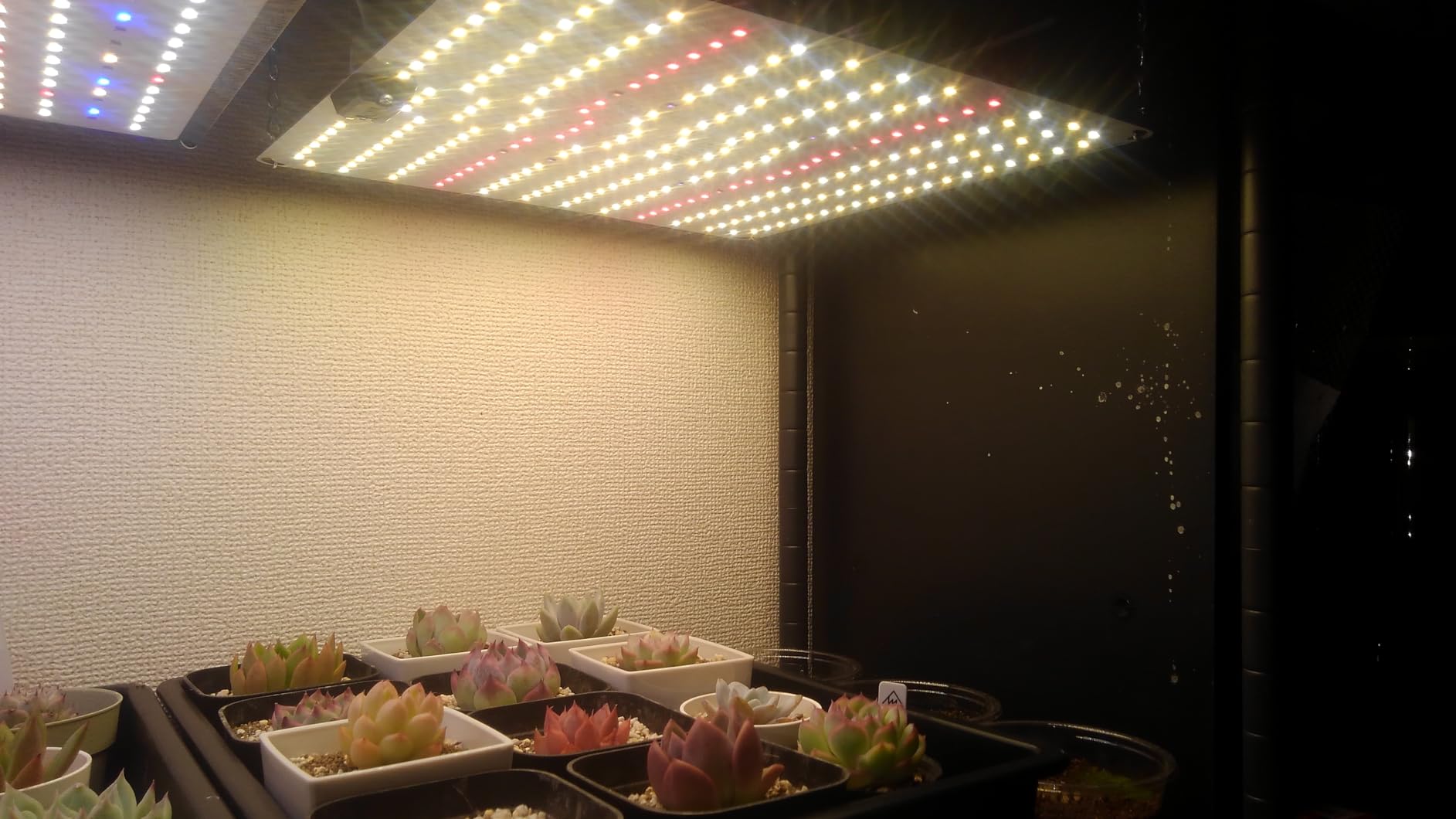 Amazon.co.jp: 【公式】BRIM(ブリム) PANEL A 植物育成ライト LED パネル 【国内ブランド】フルスペクトル IR/UV 搭載 PL-A (1, 45W 温白色 ...