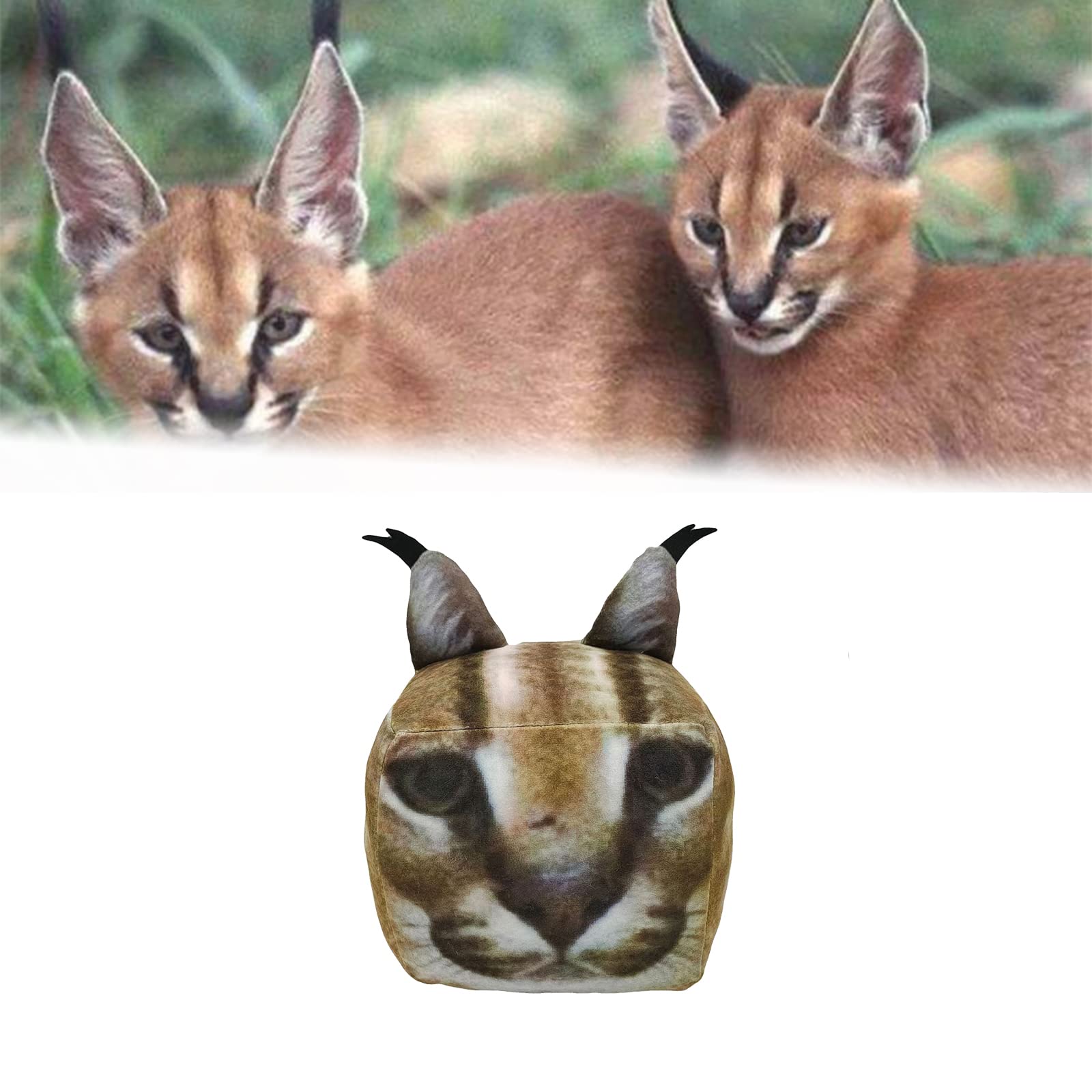 Floppa Plush 7 9in Big Floppa Cartoon Cat Plushie Raise | Desertcart KUWAIT