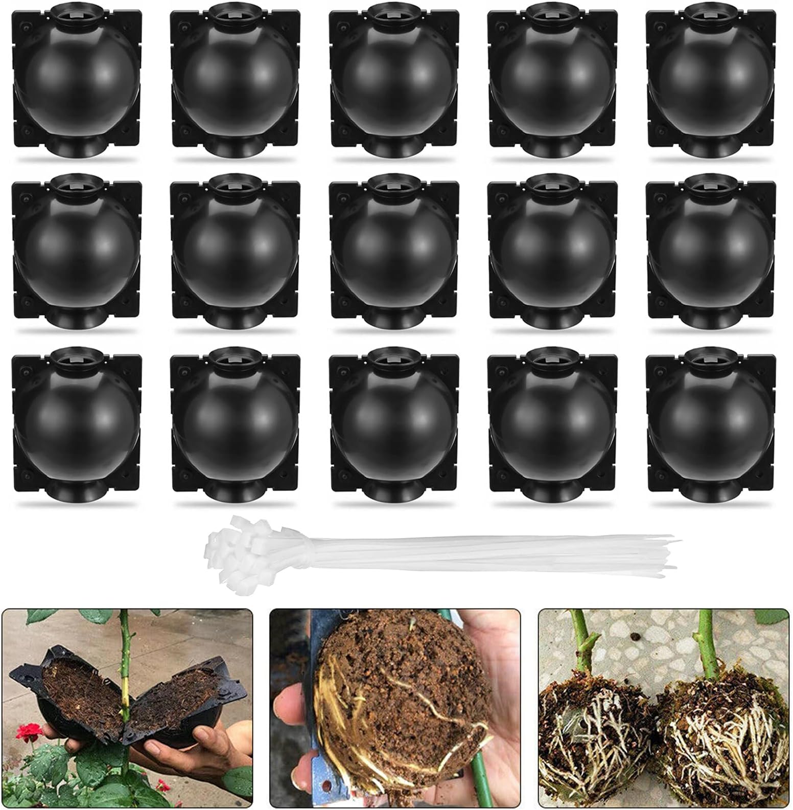 Amazon.com : nutroeno 15 pcs Plant Root Growing Box Cloning Ball - Air ...