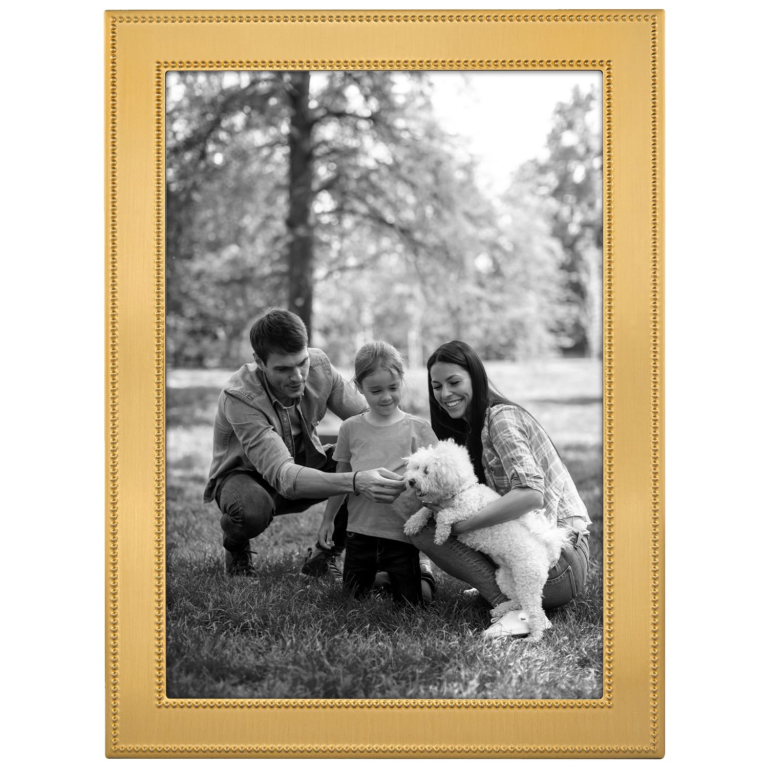Snapklik.com : Beaded Gold Picture Frame, Tarnish Resistant Finish ...
