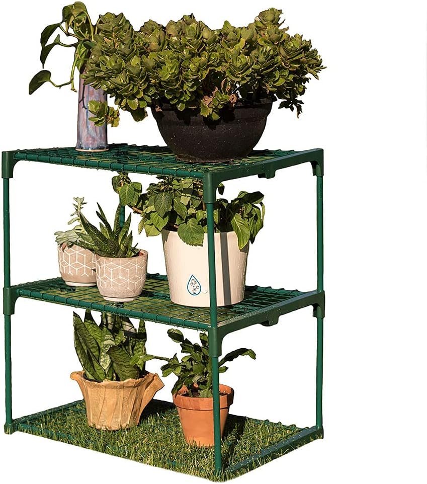 Amazon.com : Zenport SH3222A 3-Tier Greenhouse Plant Growing Rack ...