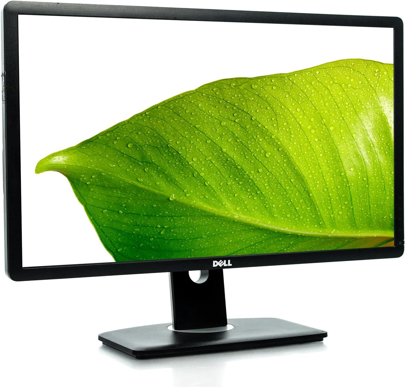 Amazon.com: Dell Professional P2412H 24-Inch Monitor with LED-Lit ...