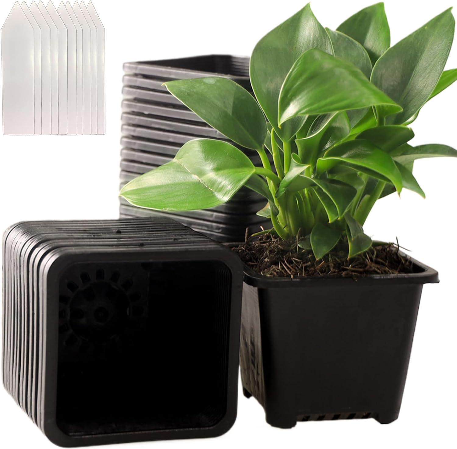 Amazon.com: Tulpeed 25 Packs Square Nursery Pots for Plants 4 Inch ...
