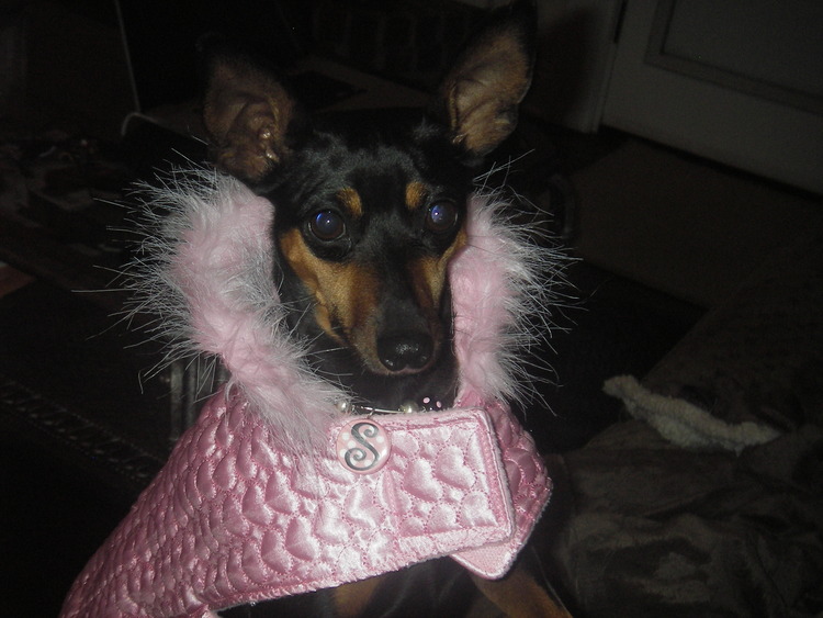 Amazon.com: Suzanne Cox: books, biography, latest update