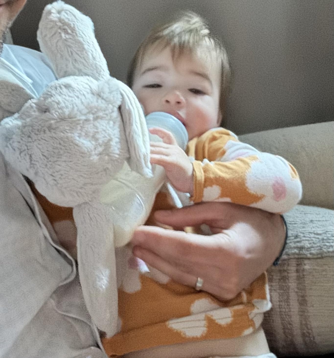 Amazon.com: Aurora Ebba - Wind Up Musical - 12" Dewey Bunny Wind Up ...