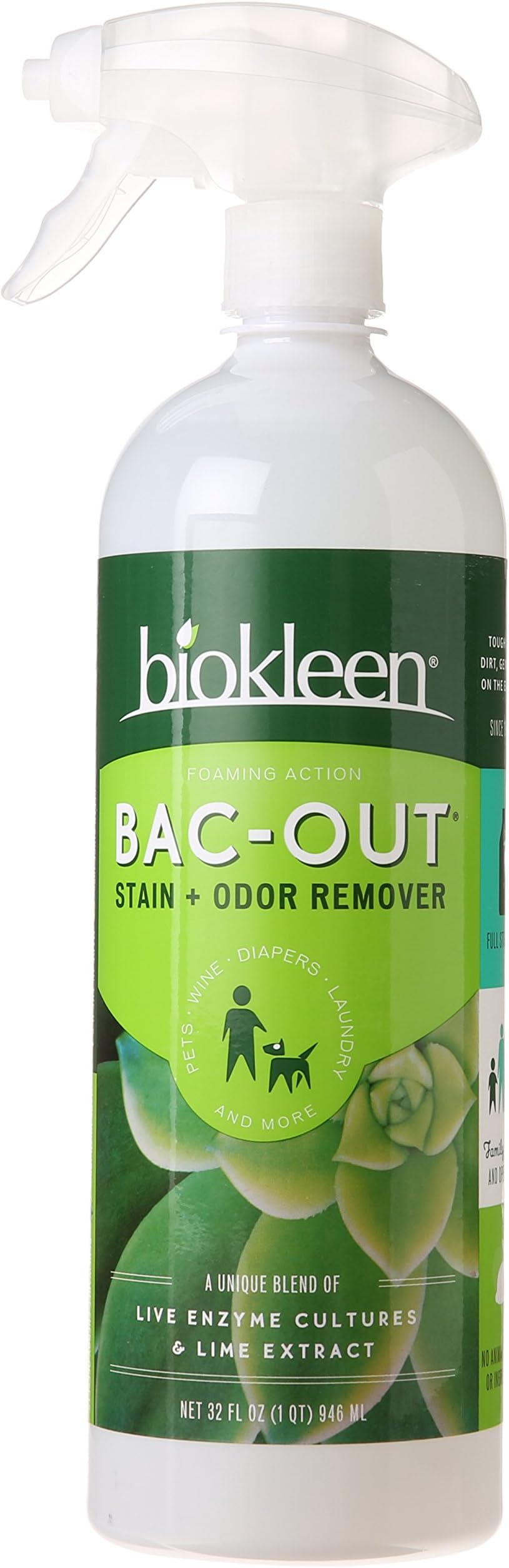 Amazon.com: Biokleen Bac-Out Stain+Odor Remover, Destroys Stains ...