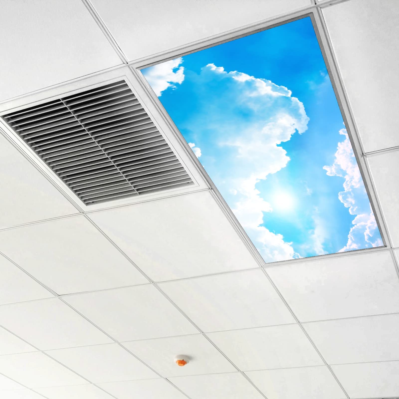 Blue Fluorescent Cellophane Over Lights Educational Insights The
