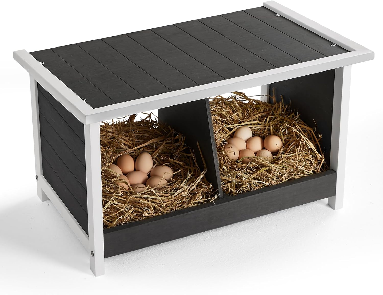 Amazon.com: aaculpet Chicken Nesting Box, New Material PS Chicken ...