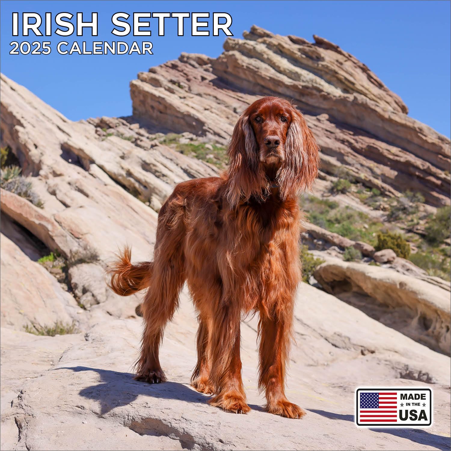 Snapklik.com : 2026 Irish Setter Calendar - Dog Breed Wall Calendar ...