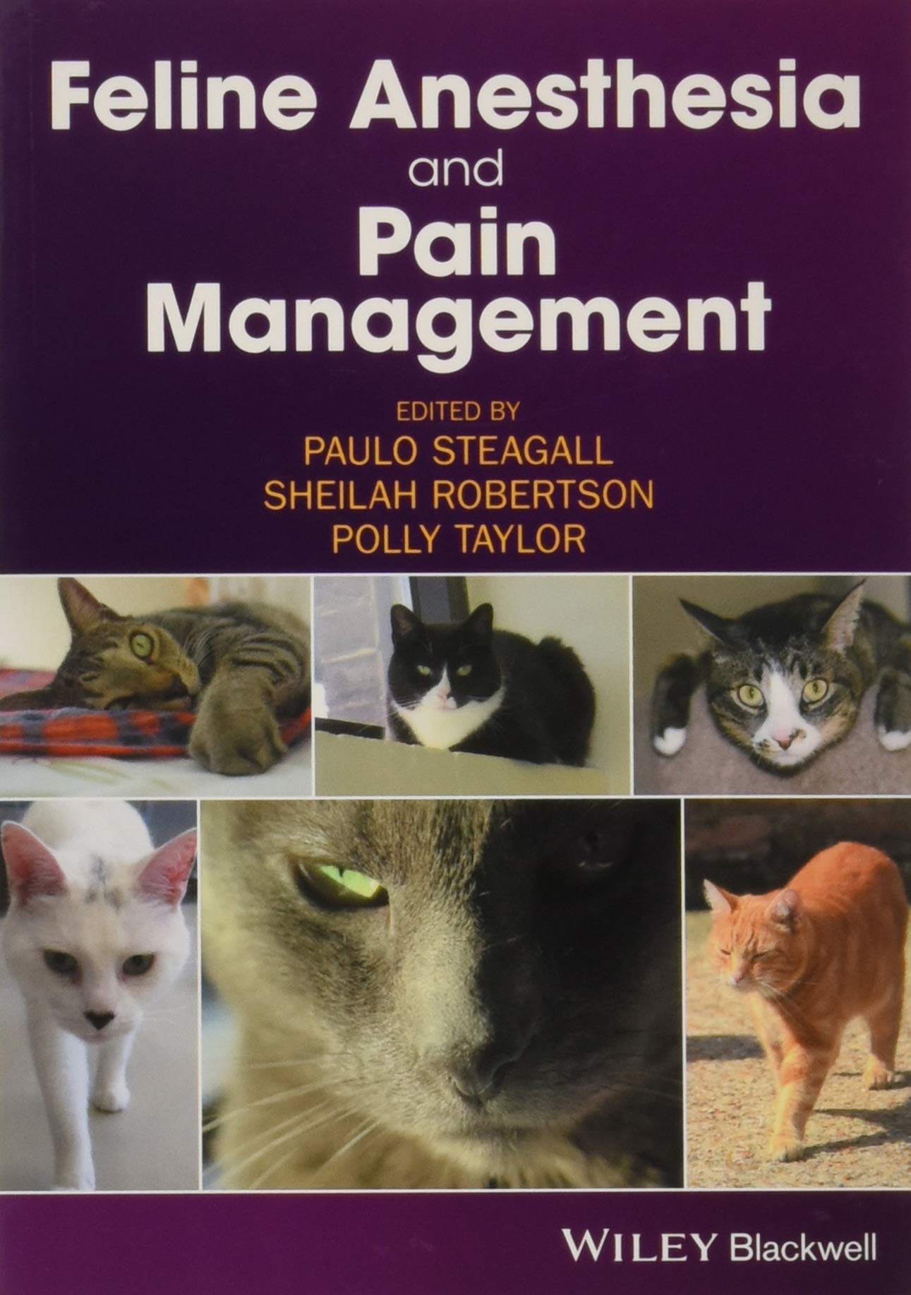 Feline Anesthesia and Pain Management: 9781119167808: Medicine & Health ...