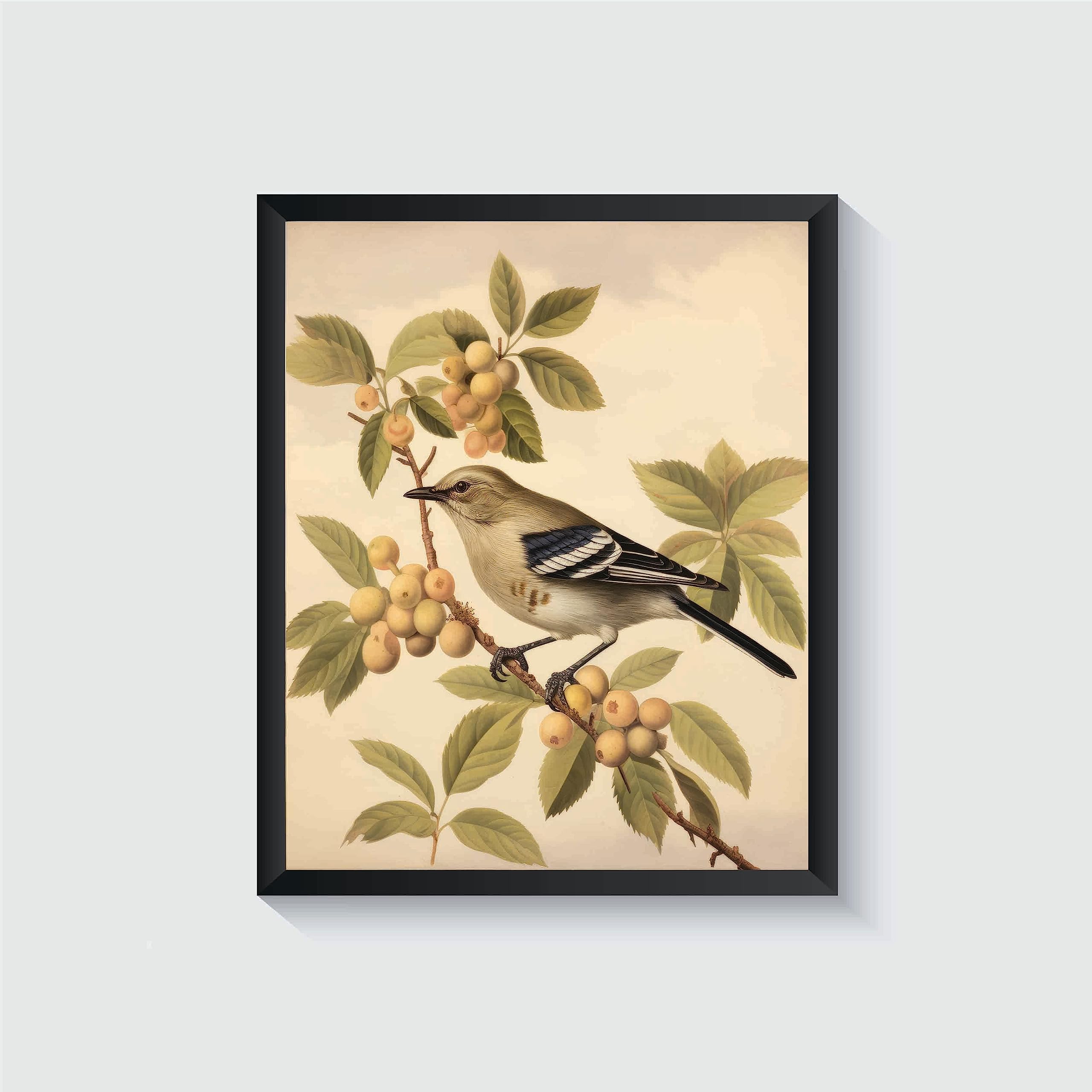 Amazon.com: Mockingbird Poster Art Print Retro Vintage Bird Wall Art ...