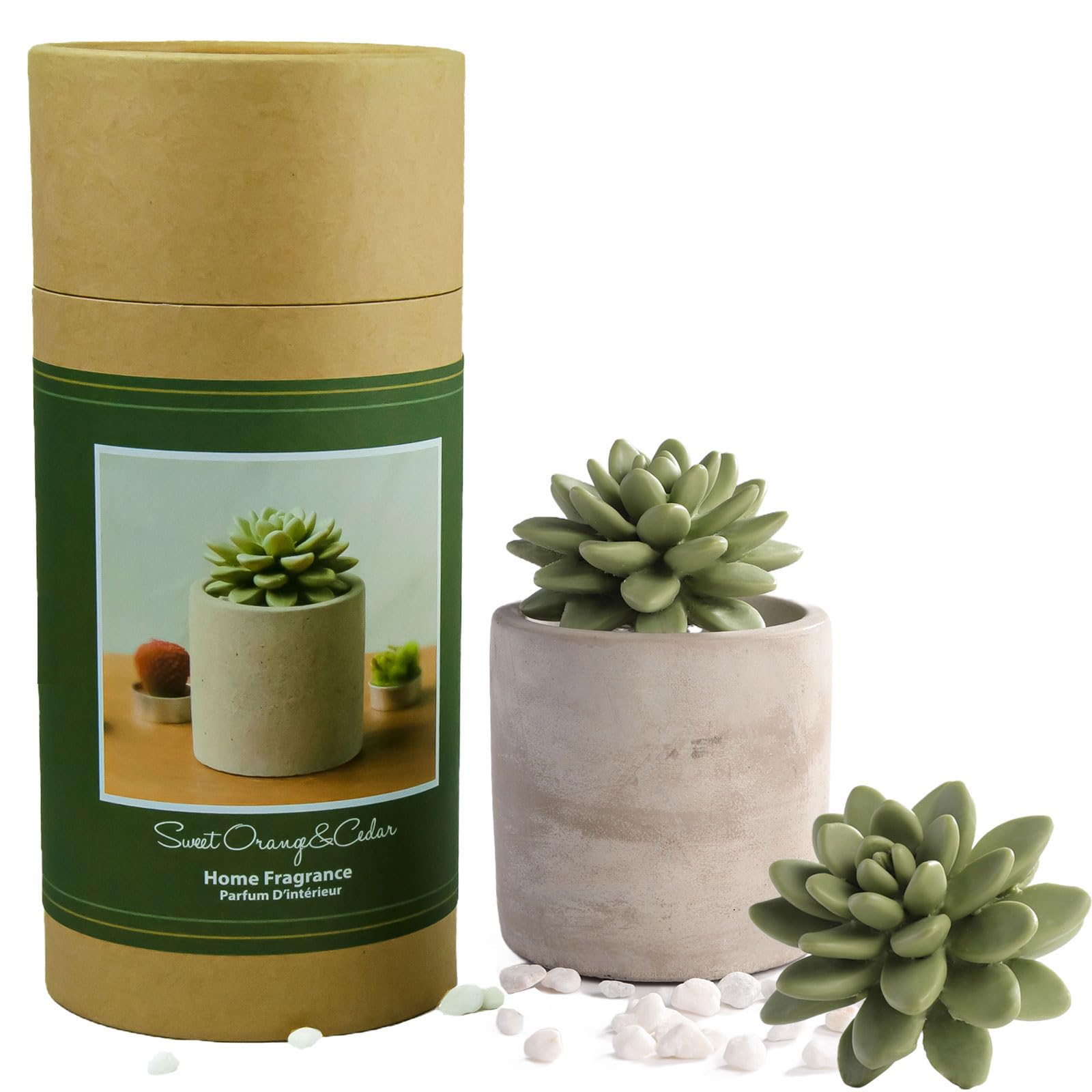 Amazon.com: Pretty Valley Home Succulent Gypsum Ceramic Fragrance ...