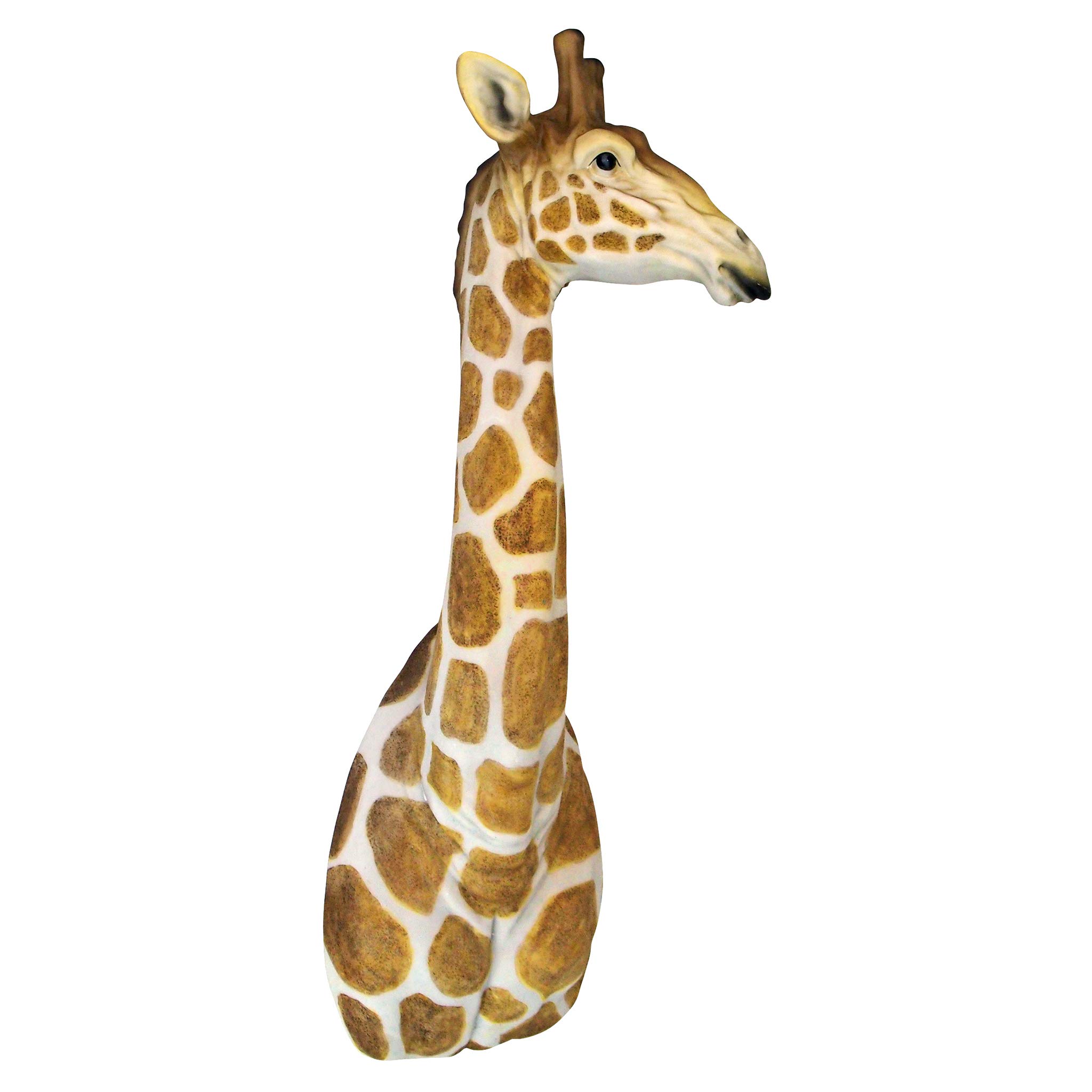 Amazon.com: Design Toscano African Savanna Giraffe Wall Sculpture ...