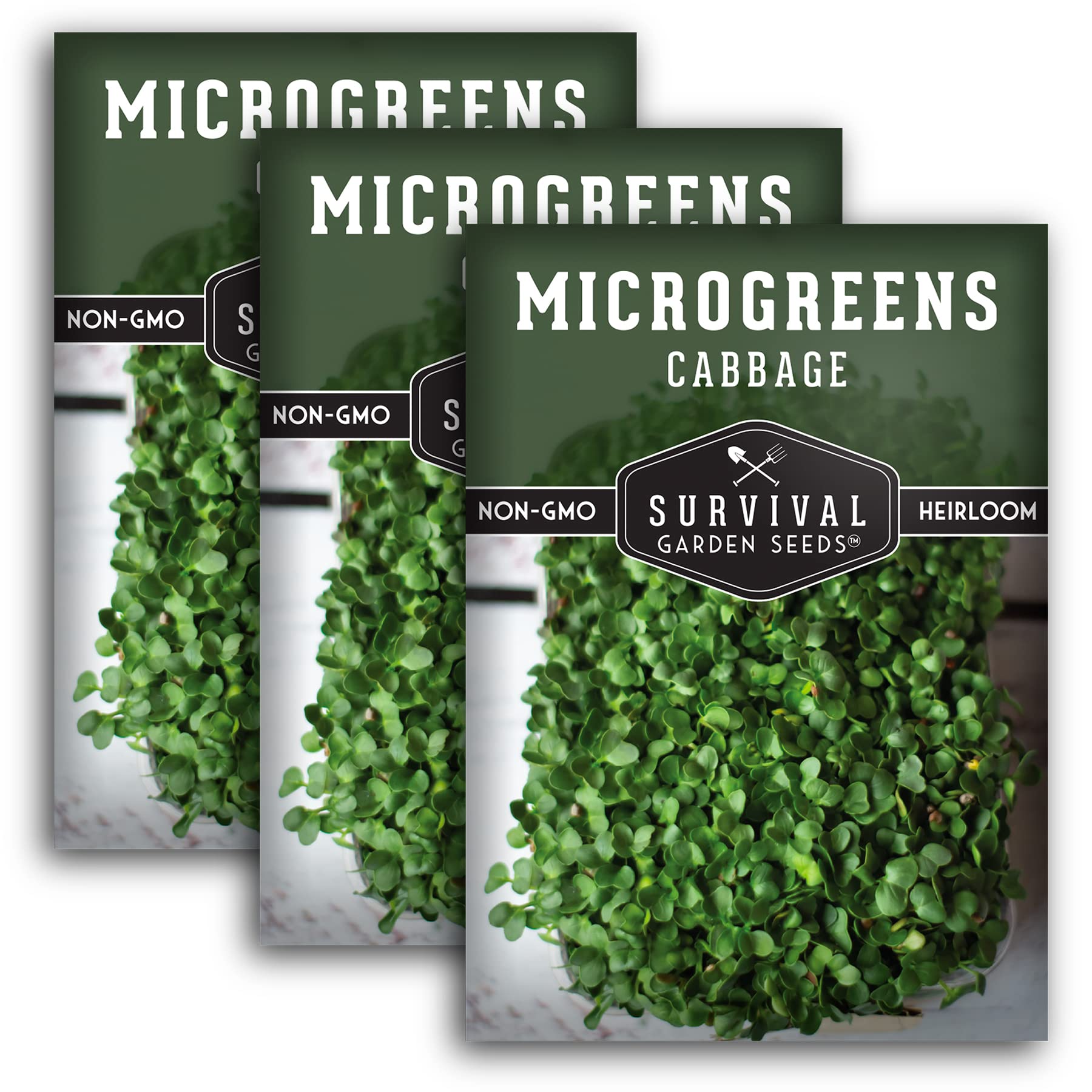 Amazon.com : 3 Packs Cabbage Microgreens Seeds for Planting and Growing ...