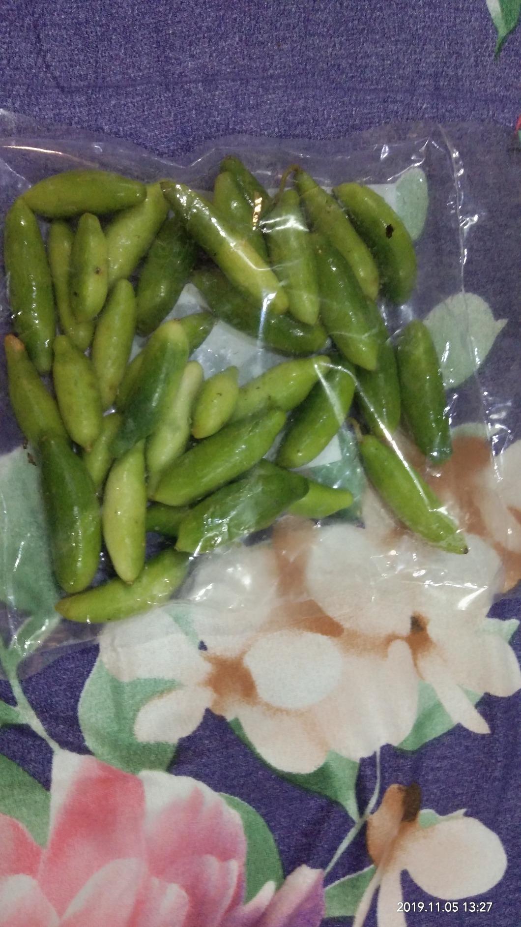 Fresh Tendli, 250g : Amazon.in: Grocery & Gourmet Foods