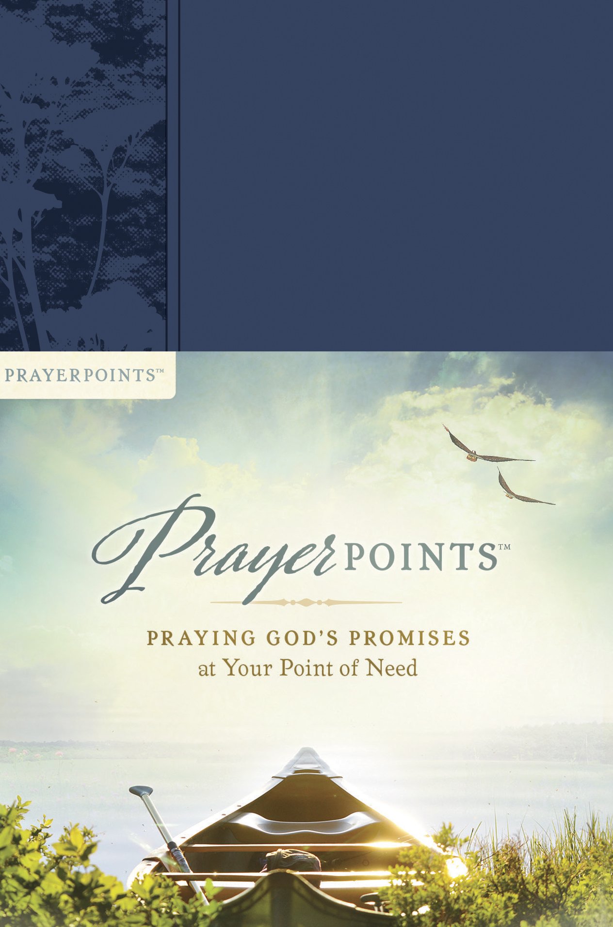 Prayer Points - Praying God's Promises at Your Point of Need ...