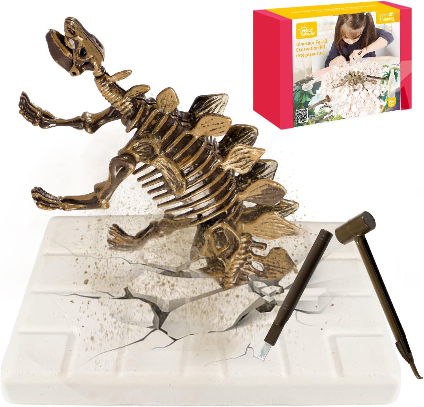 Amazon.com: KidEwan Dinosaur Digging Fossil Kit for Kids,Dino Excavation Kits for Kids ...