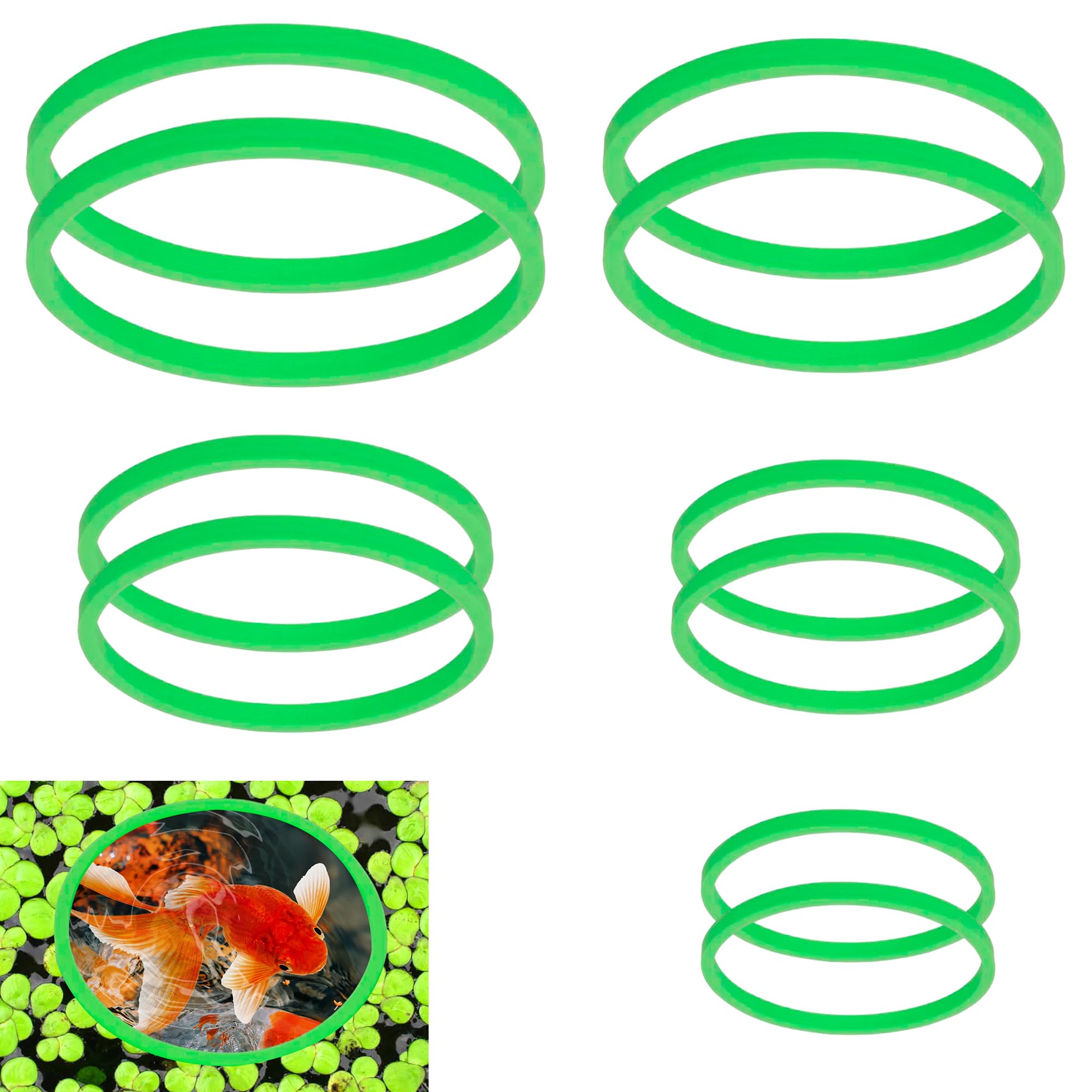 Amazon.com : 10 Pcs Aquarium Floating Plant Rings, 5 Sizes Betta ...