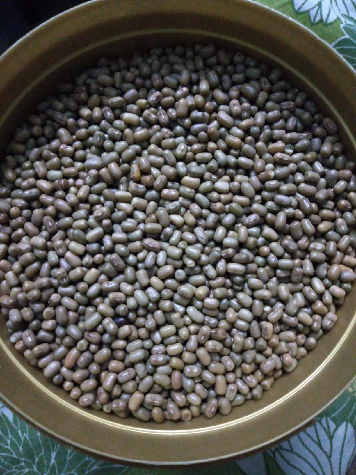 Amazon Brand - Vedaka Moth Matki, 1kg : Amazon.in: Toys & Games