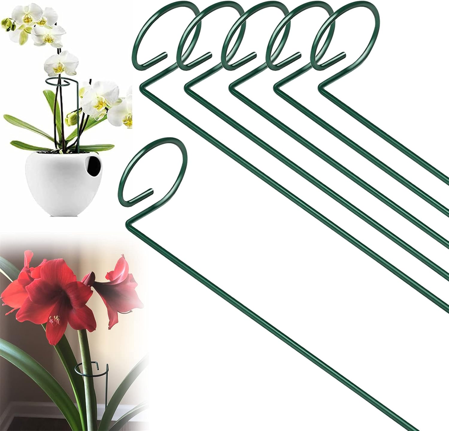 Amazon.com : CUNQN Plant Support Stake 6PCS Garden Flower Support ...