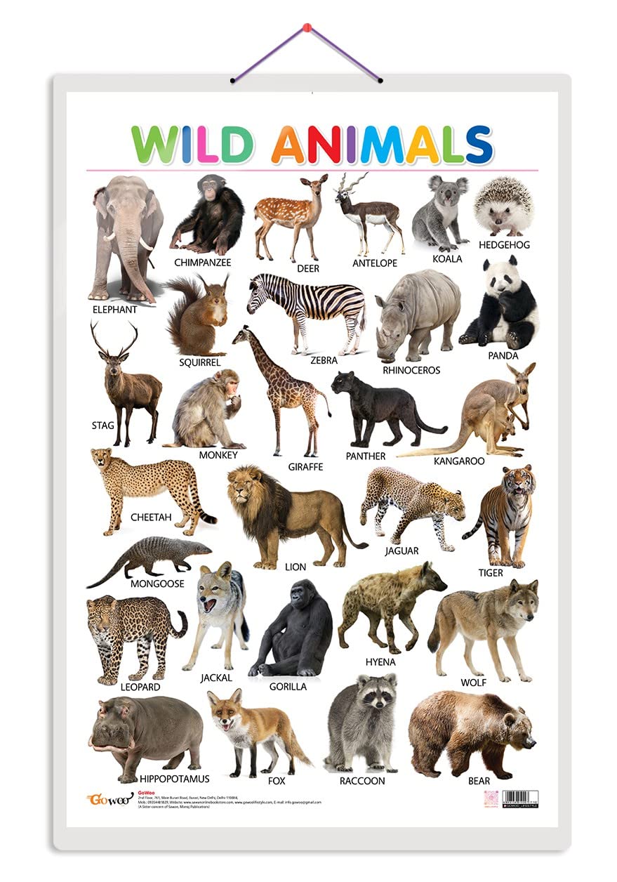 GO WOO Wild Animals Educational Poster for Preschool Kids Classroom ...