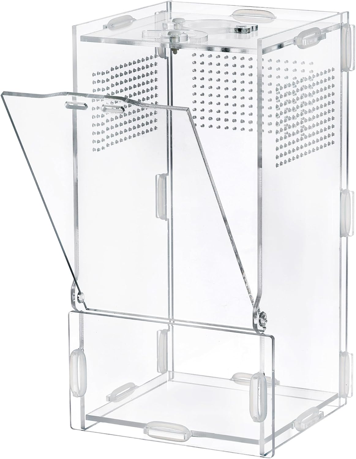 Amazon.com : VERTUPET Jumping Spider Enclosure, 4''x4''x8'' Acrylic ...